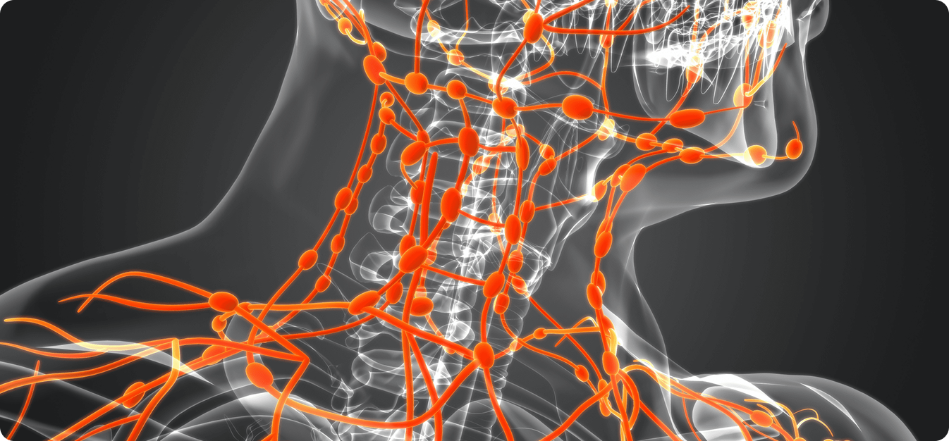 How the Lymphatic and Immune Systems Work Together - Flowpresso®